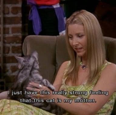 55 Memorable and Funny Friends TV Show Quotes