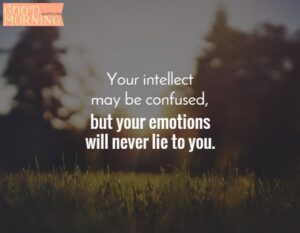 24 Confused Quotes about Life and Love with Images