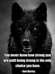 82 Short and Inspirational Quotes about Strength (with Pictures)