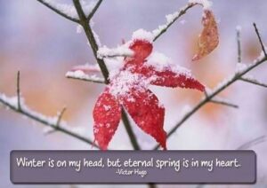 32 Winter Quotes and Sayings with Stunning Images