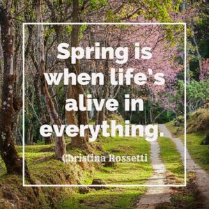 95 Spring Quotes and Sayings with Images