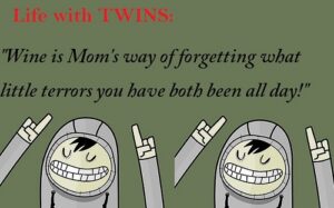 21 Funny Twin Quotes and Sayings with Images - Good Morning Quotes