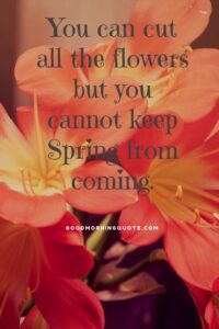 65 Spring Quotes and Sayings with Images