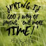 65 Spring Quotes and Sayings with Images