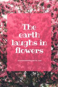 65 Spring Quotes and Sayings with Images
