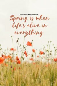 65 Spring Quotes and Sayings with Images