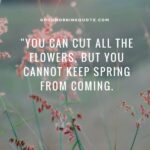 65 Spring Quotes and Sayings with Images