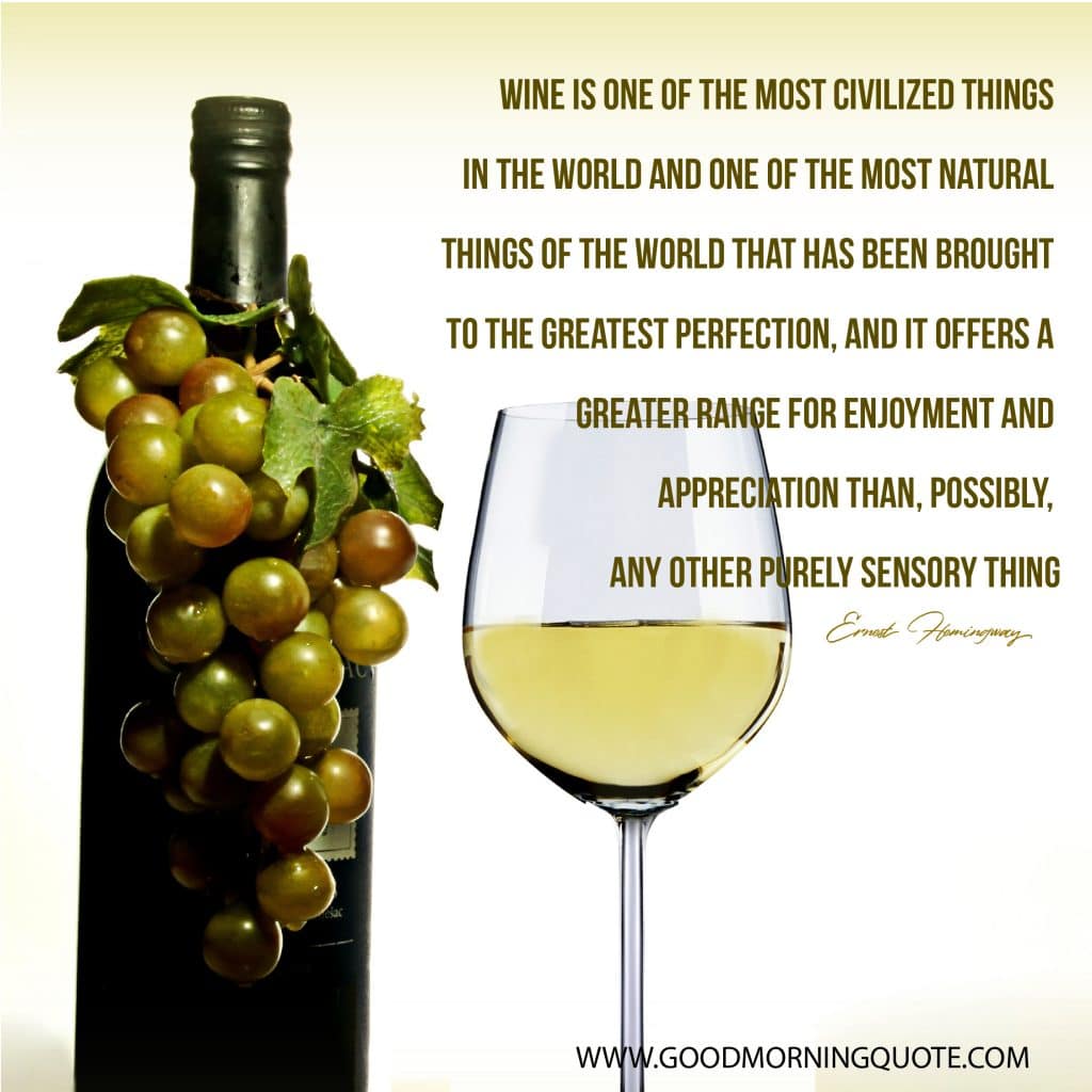 Hilarious Wine Quotes That Will Make You Laugh - Good Morning Quote