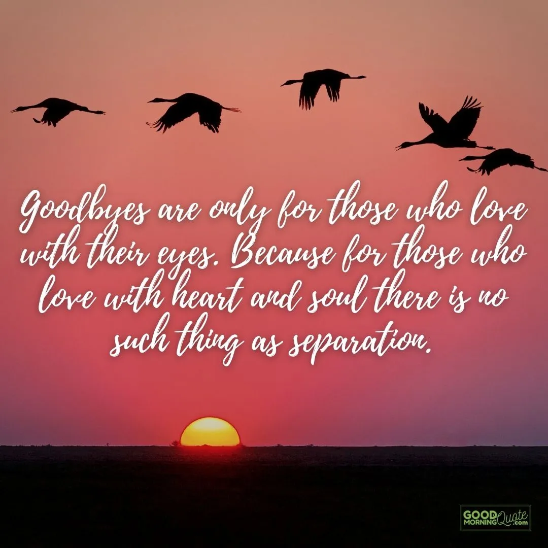 Farewell Quotes and Inspiring Goodbye Quotes (with Pictures)