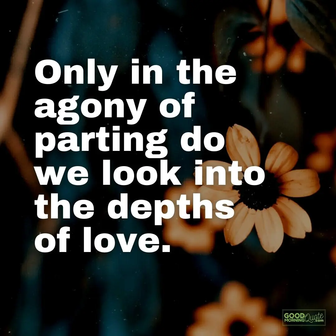 Farewell Quotes and Inspiring Goodbye Quotes (with Pictures)