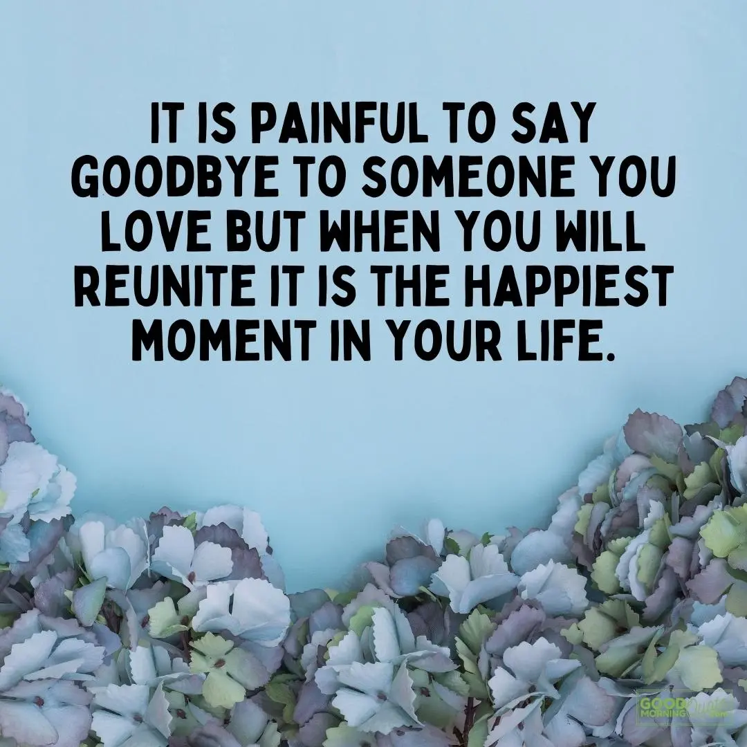 Farewell Quotes and Inspiring Goodbye Quotes (with Pictures)