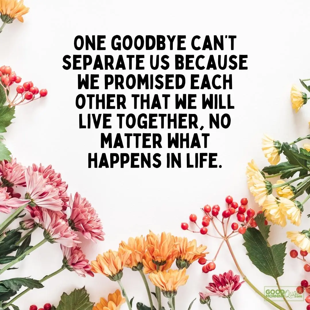 Farewell Quotes and Inspiring Goodbye Quotes (with Pictures)