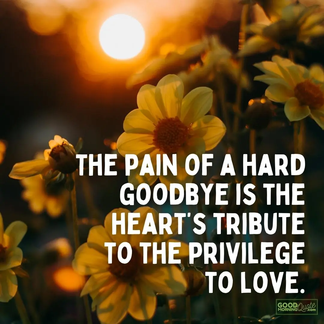 Farewell Quotes and Inspiring Goodbye Quotes (with Pictures)
