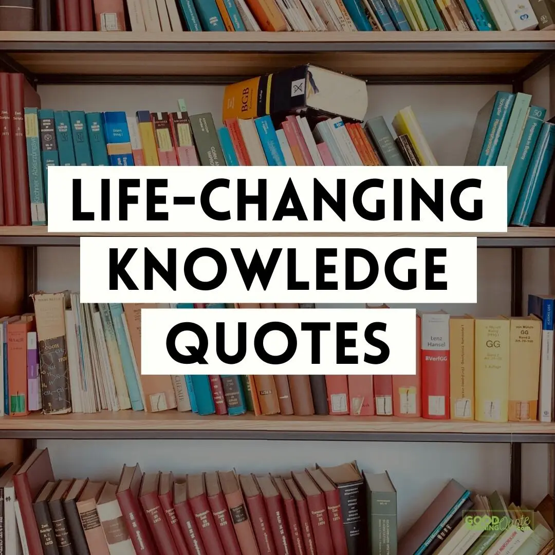 30 Inspiring Education Quotes to Kickstart the New School Year