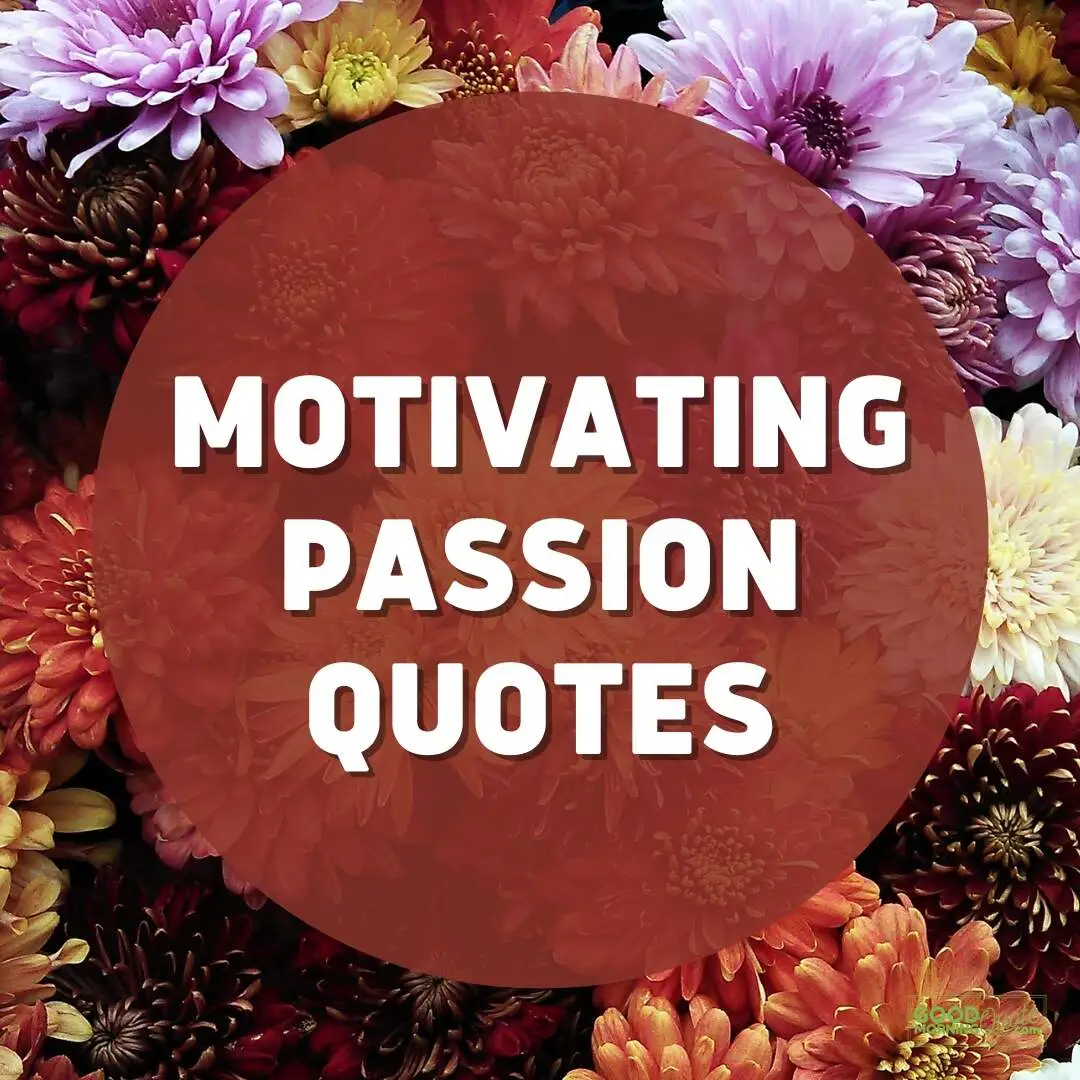30 Powerful Passion Quotes to Motivate you Everyday