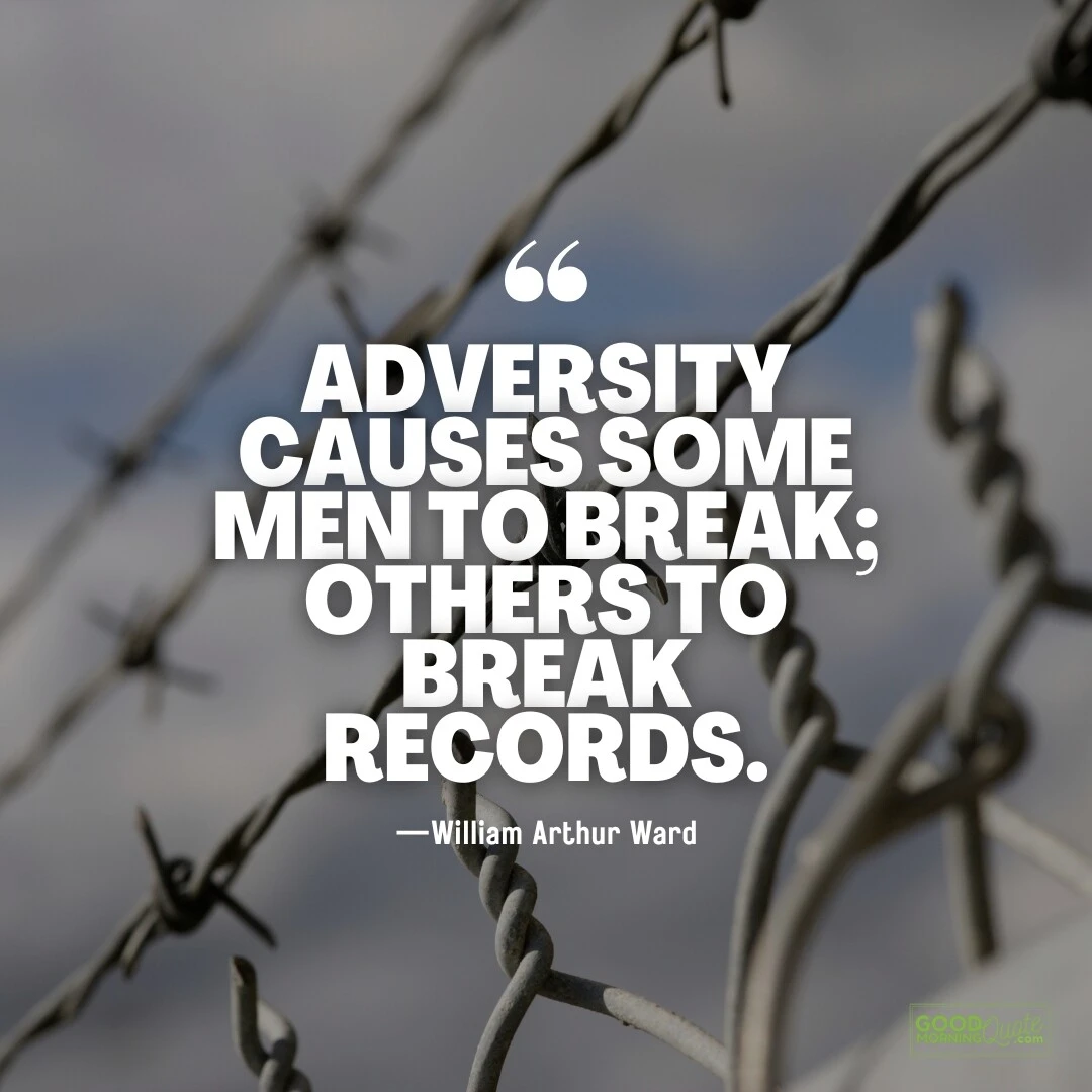 30 Quotes About Overcoming Adversity with Pictures to share