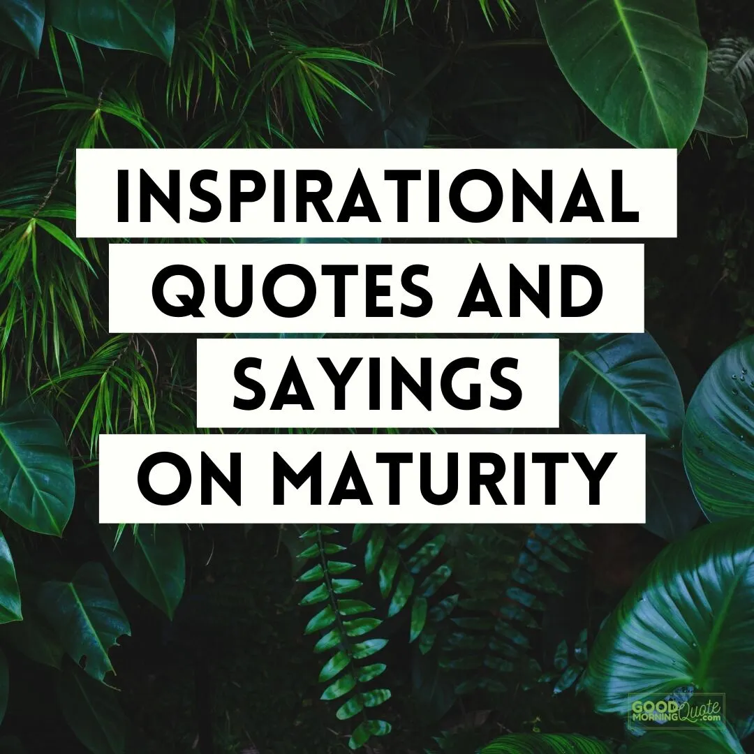 30 Maturity Quotes That Inspire Clarity and Confidence