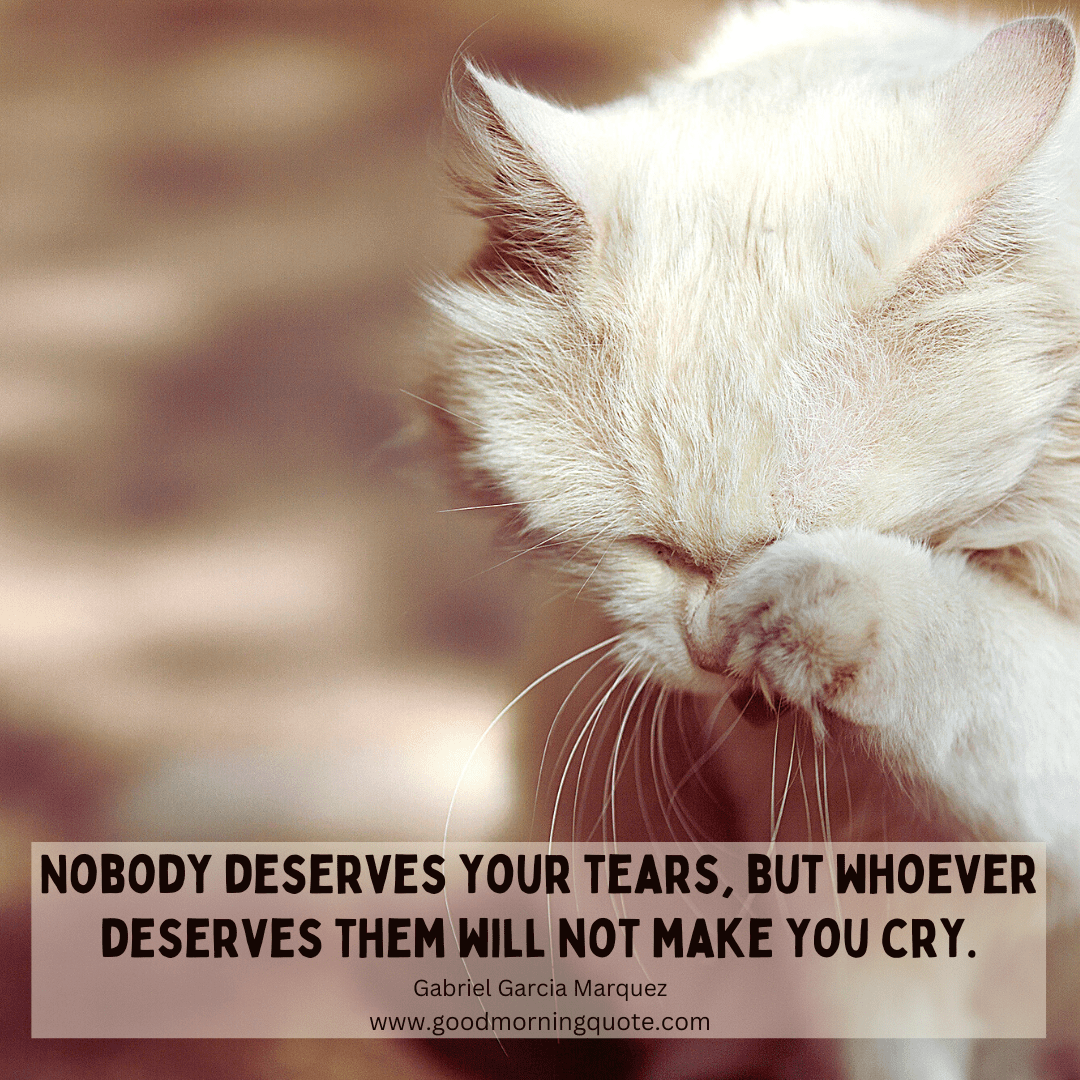 60 Deep Meaningful Quotes about Life with Images to share