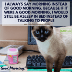 64 Funny Good Morning Quotes (with Pictures)