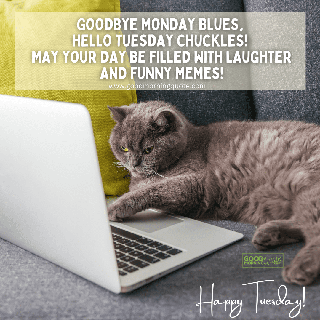 106 Happy Tuesday Quotes and Sayings (with Pictures)