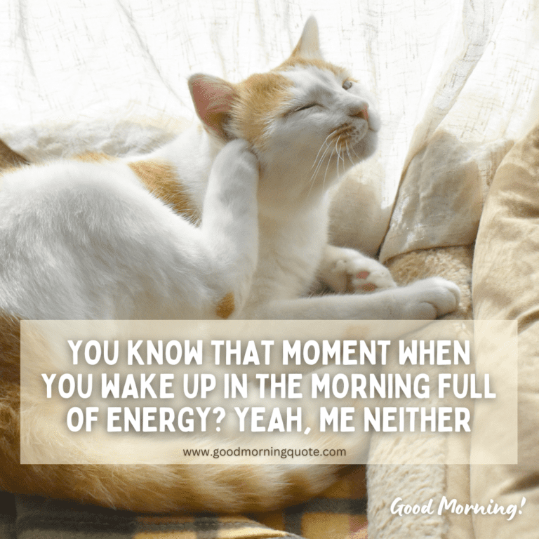 64 Funny Good Morning Quotes (with Pictures)